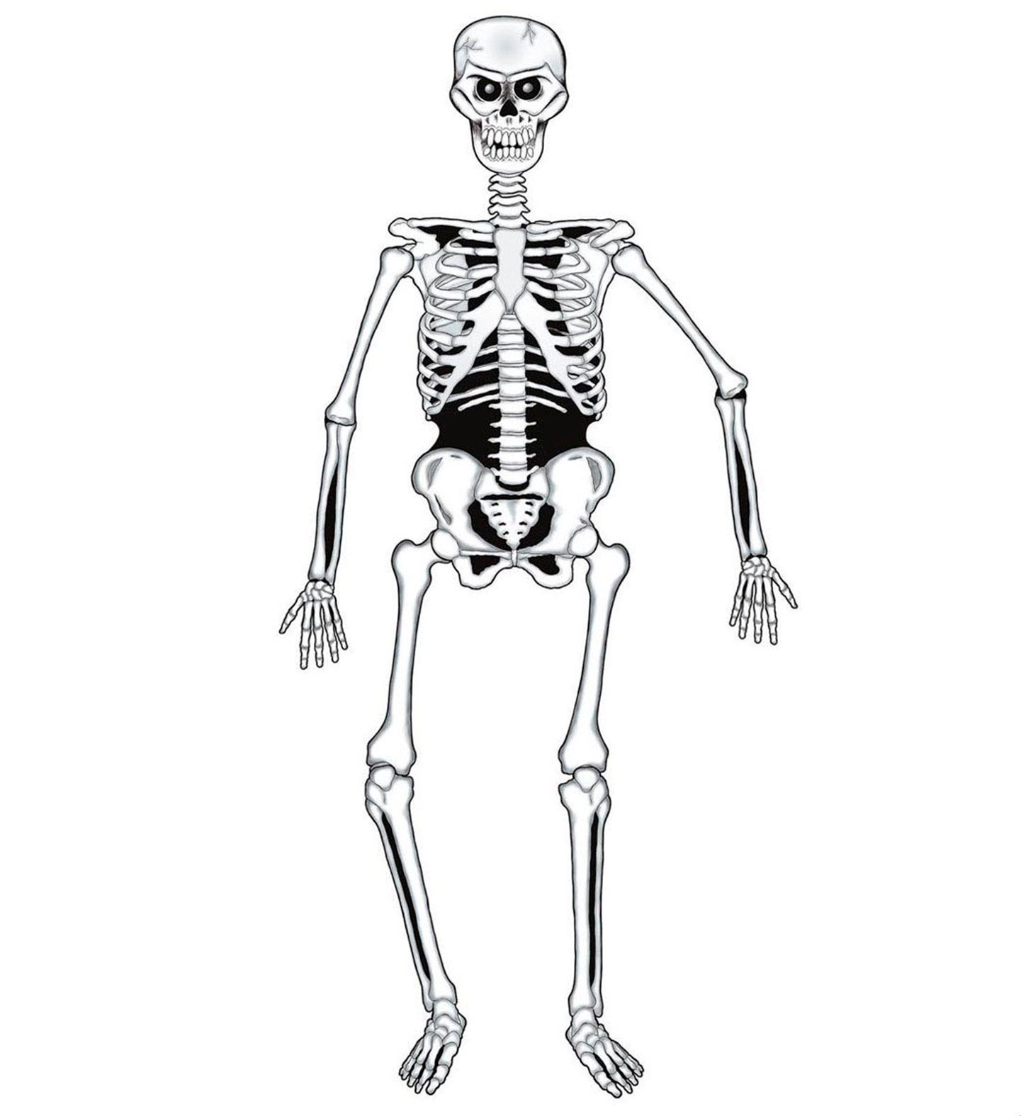 Decor Schelet - Carnaval Fiesta Costume si Accesorii